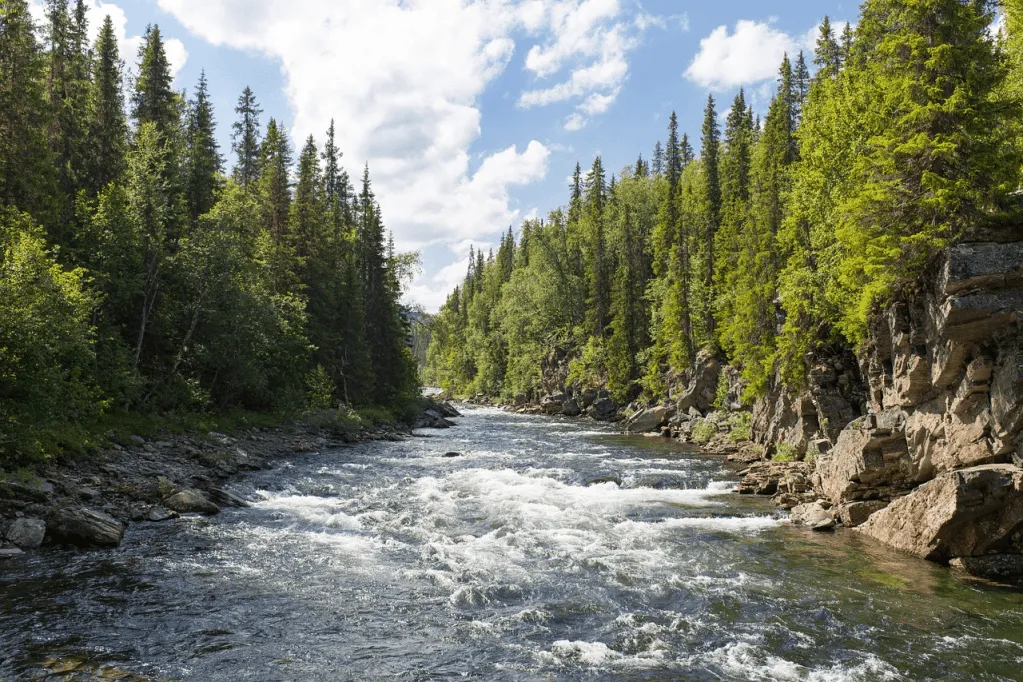 The 10 countries with largest freshwater reserves in the world