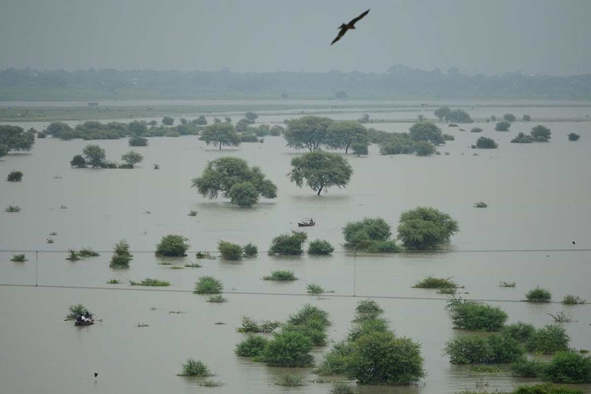 NGT orders to stop sewage and waste discharge into Ganga River in ...