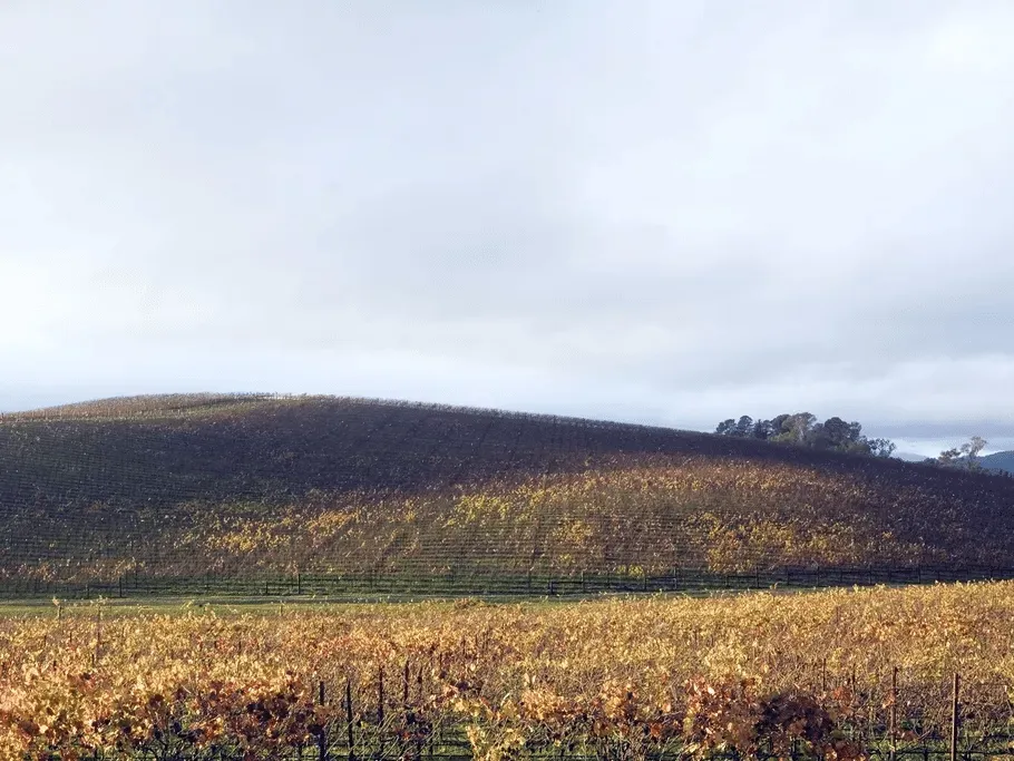 How landscape of most famous Windows XP wallpaper in history changed