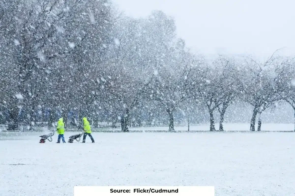 Ice storms, January downpours, heavy snow, no snow