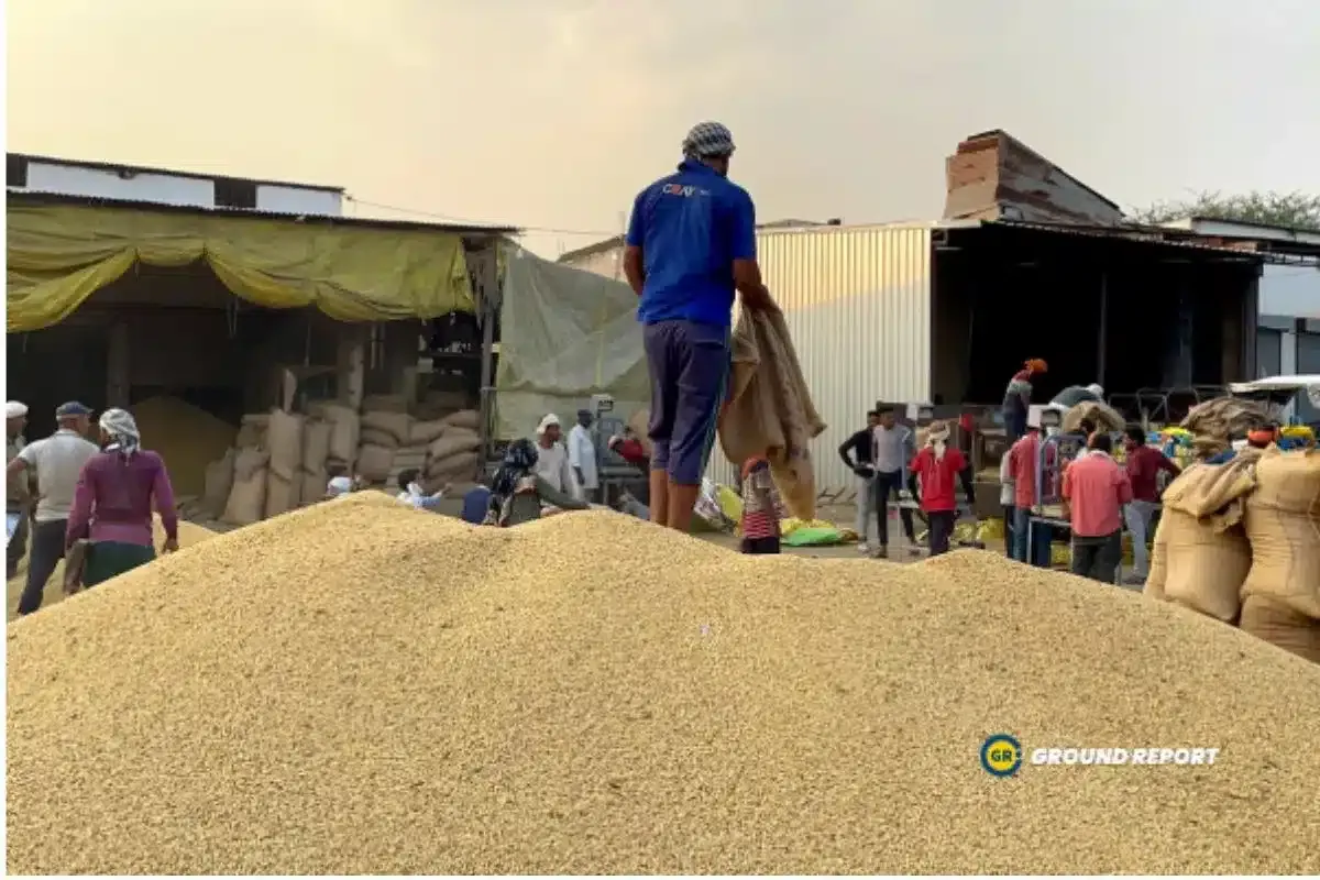 what-is-c2-50-formula-of-msp-how-this-can-change-life-of-farmers