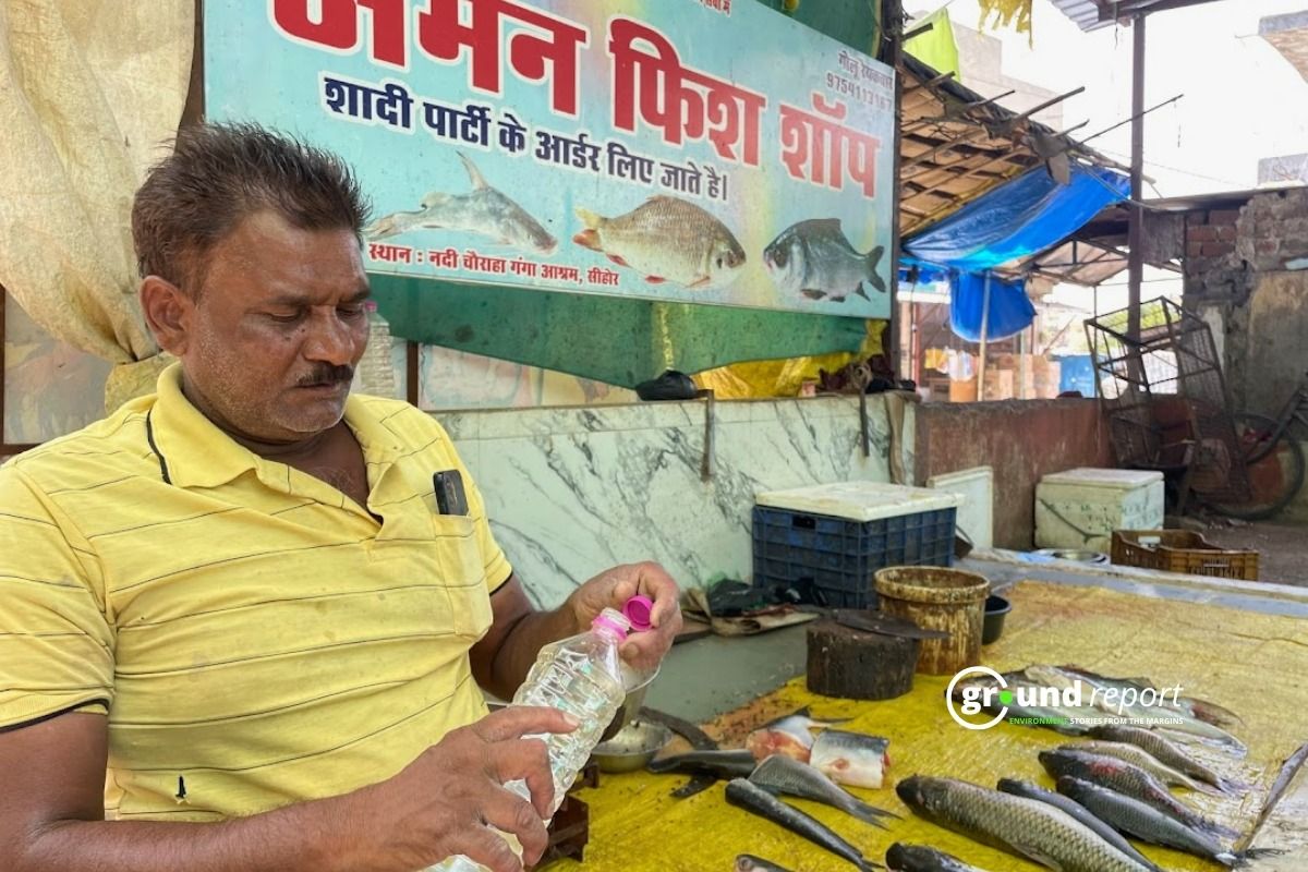 Inside Makeshift Fish Markets, While The Community Awaits Permanent Ones